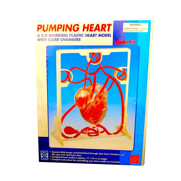 Model inima functionala • MaterialeDidactice.ro