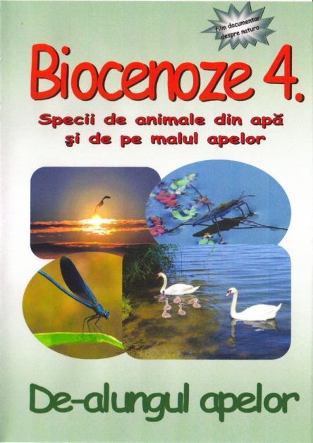 BIOCENOZE 4. De-alungul apelor • MaterialeDidactice.ro